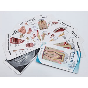 Teeth Pocket Chart for Dentist and Dental Hygienist - Etsy
