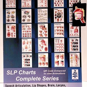 Speech Language Pathology SLP Charts Complete With QR Codes for ...