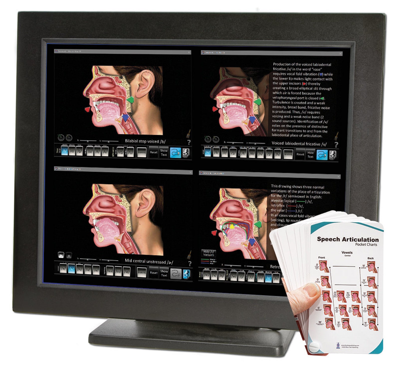 Speech Articulation Pocket Charts With 5 App Software Set - Etsy