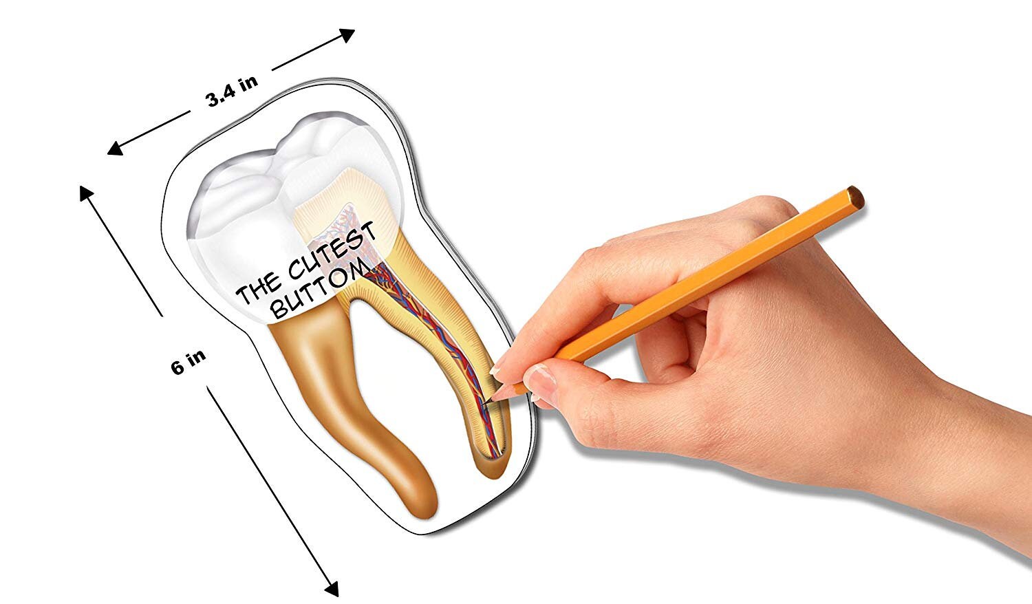 Dentist Tooth Mouth Brush Stick Note Set - Etsy
