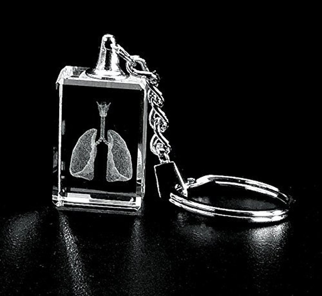 Blue Tree Publishing Lungs 3d Laser Key Chain Crystal, Anatomy, Larynx ...