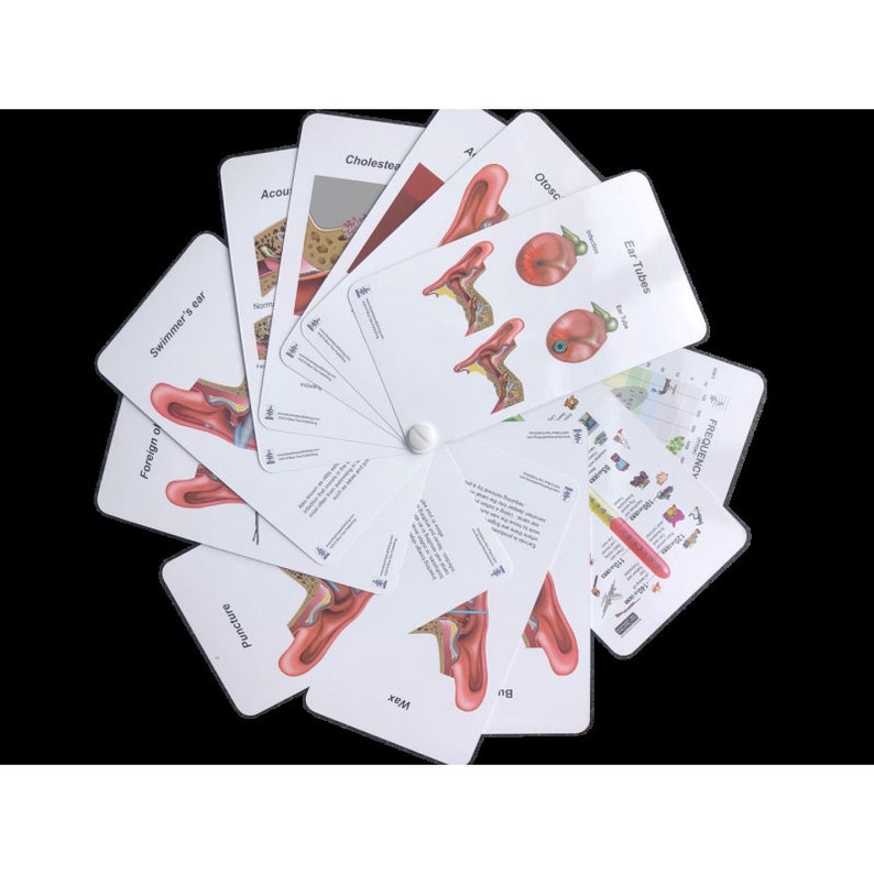 Ear Anatomy Pocket Charts for Audiologists and Students of Audiology - Etsy