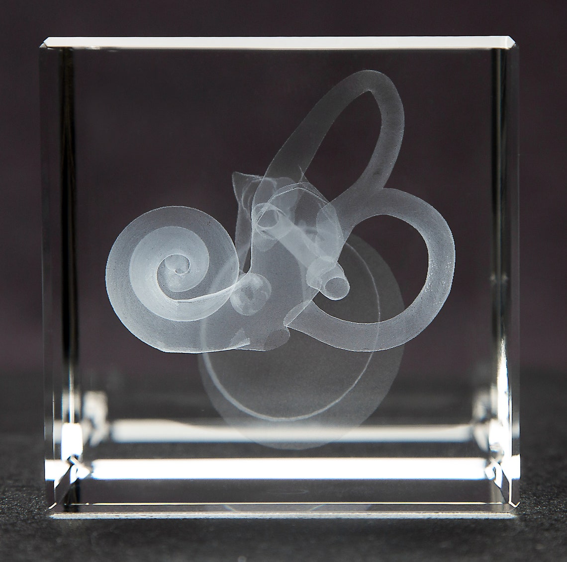 Ear Process Crystal Art - Etsy