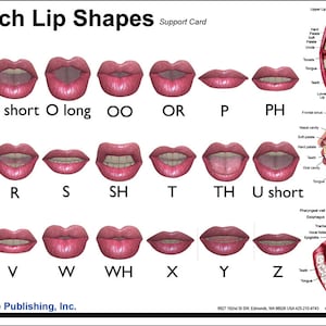 Speech Lip Shapes Anatomical Chart - Etsy