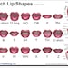 Speech Lip Shapes Anatomical Chart - Etsy Canada