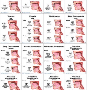 Speech Articulation Flip Charts for SLP, English Language Teachers for ...