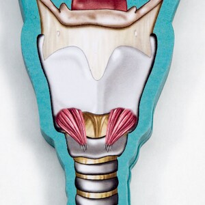 SLP Collection Set - Etsy