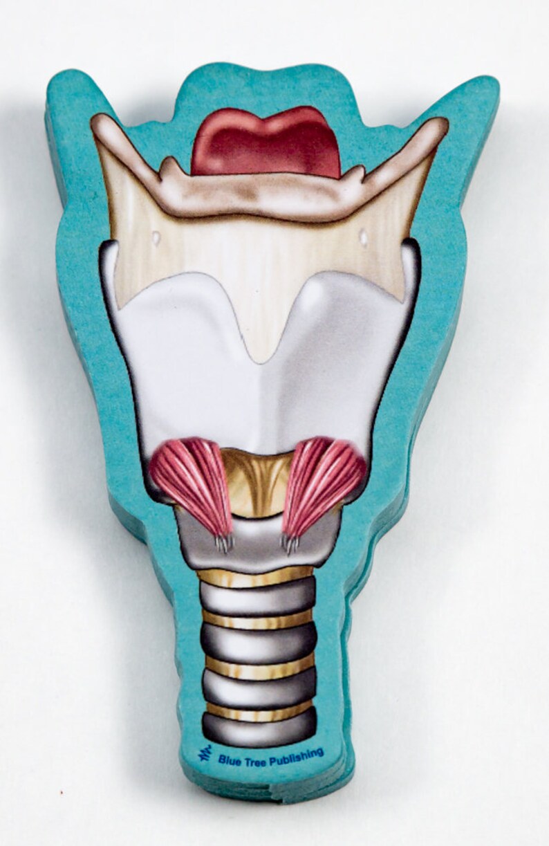 SLP Collection Set - Etsy