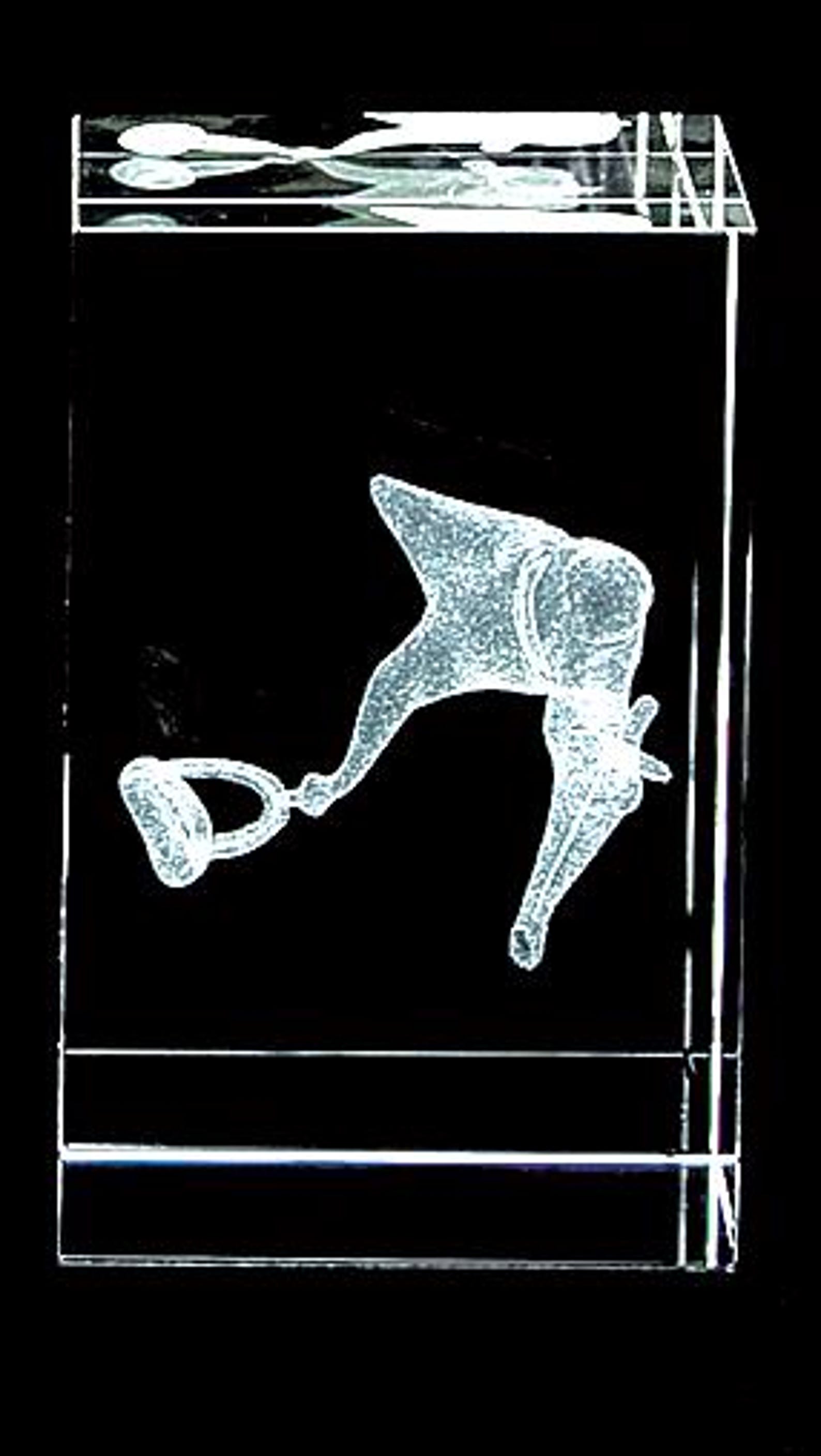Ossicular Chain Crystal Key Chain, Ossicular Model, Ossicular Gift ...