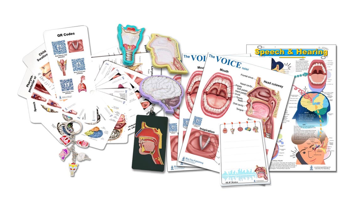 SLP Educational Supplies Kit, Voice and Speech Therapy Tools, Charts ...