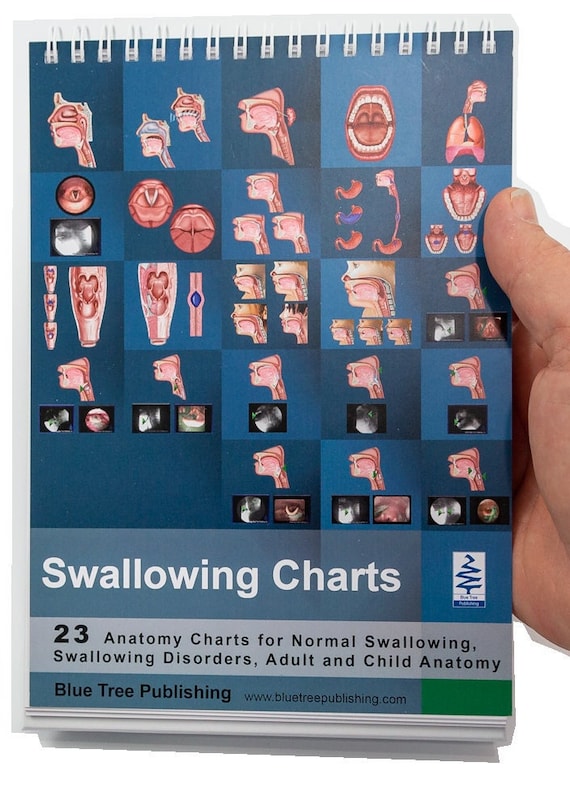 Swallowing Anatomy Flip Charts - Etsy