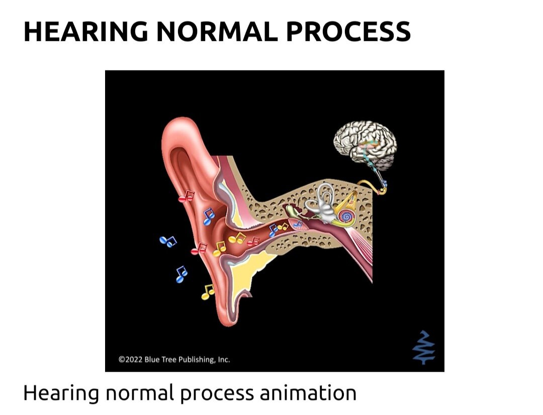 Ear Tablet With QR Code Link to Animation - Etsy