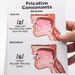 Speech Articulation Flip Charts for SLP, English Language Teachers for ...