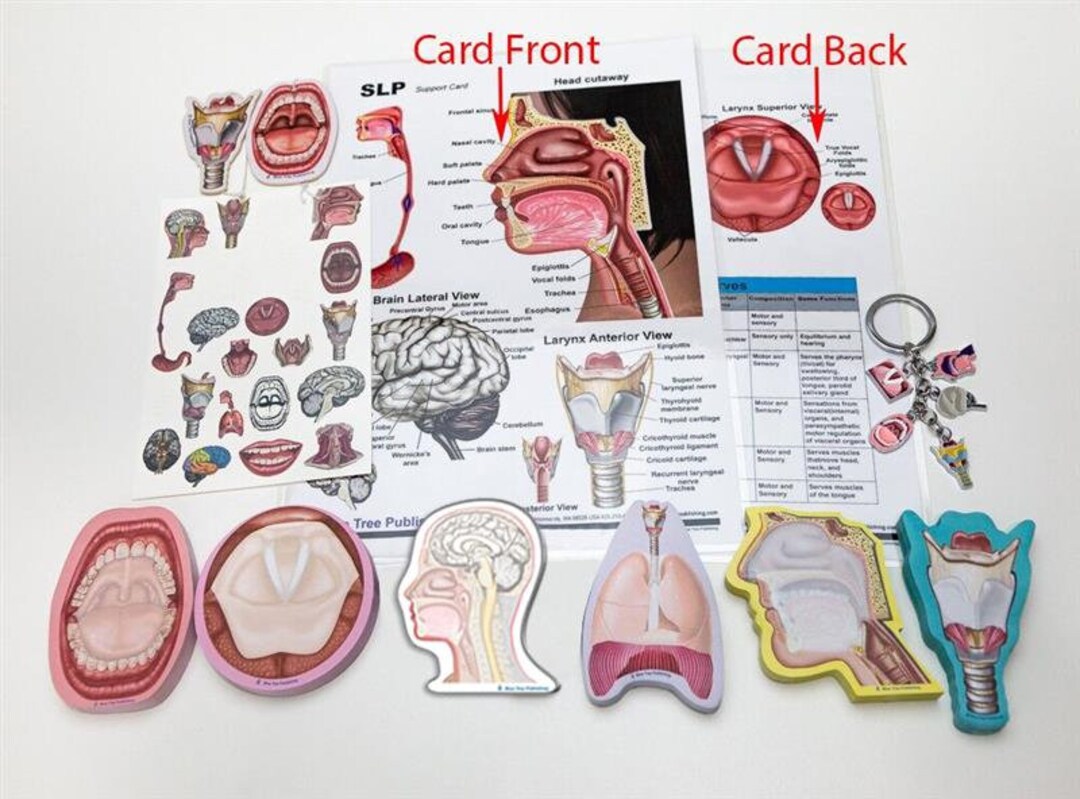 SLP Collection Set - Etsy