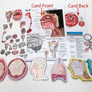 SLP Collection Set - Etsy