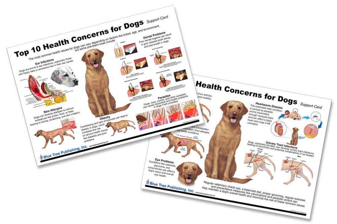 Dog 10 Health Concern Chart, Double Side Laminated Chart, A4 Size ...