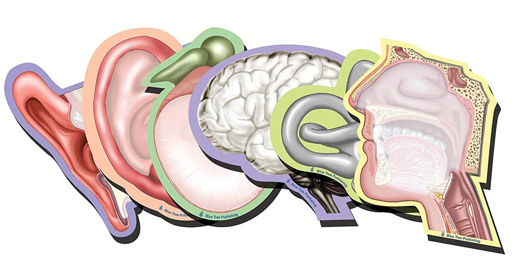 Hearing Stick Note Collection - Etsy