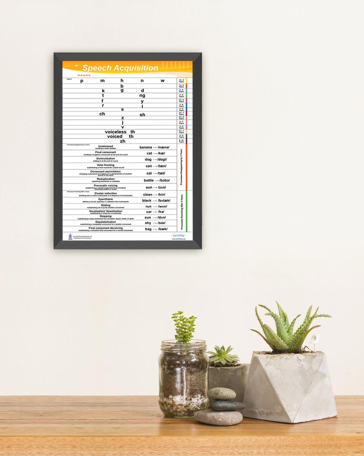 Speech Acquisition Chart, Speech Educational Chart, Processed by Age ...