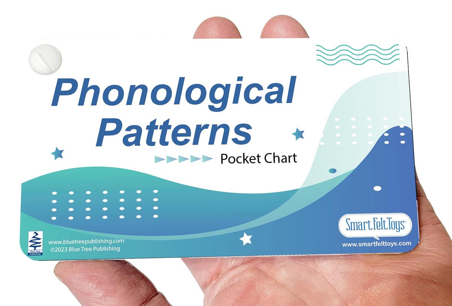 Phonological Pattern, Pocket Charts for SLP, Speech Patterns of Sound ...
