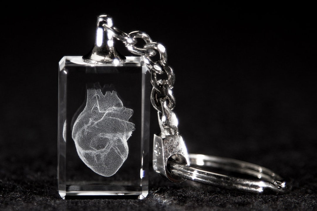 Human Heart Anatomy Crystal Key Chain Medical Gift - Etsy