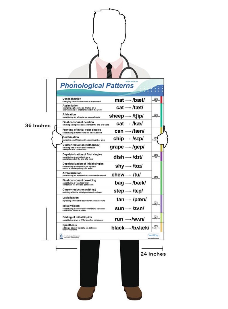 Phonological Pattern Chart for SLP Speech Language - Etsy