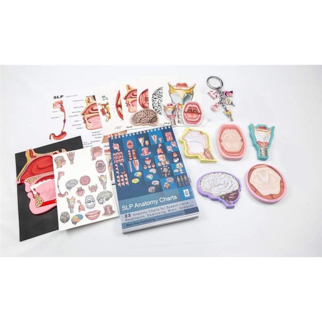 Speech Language Pathology SLP Gift Set With Brain, Mouth, Vocal Folds ...