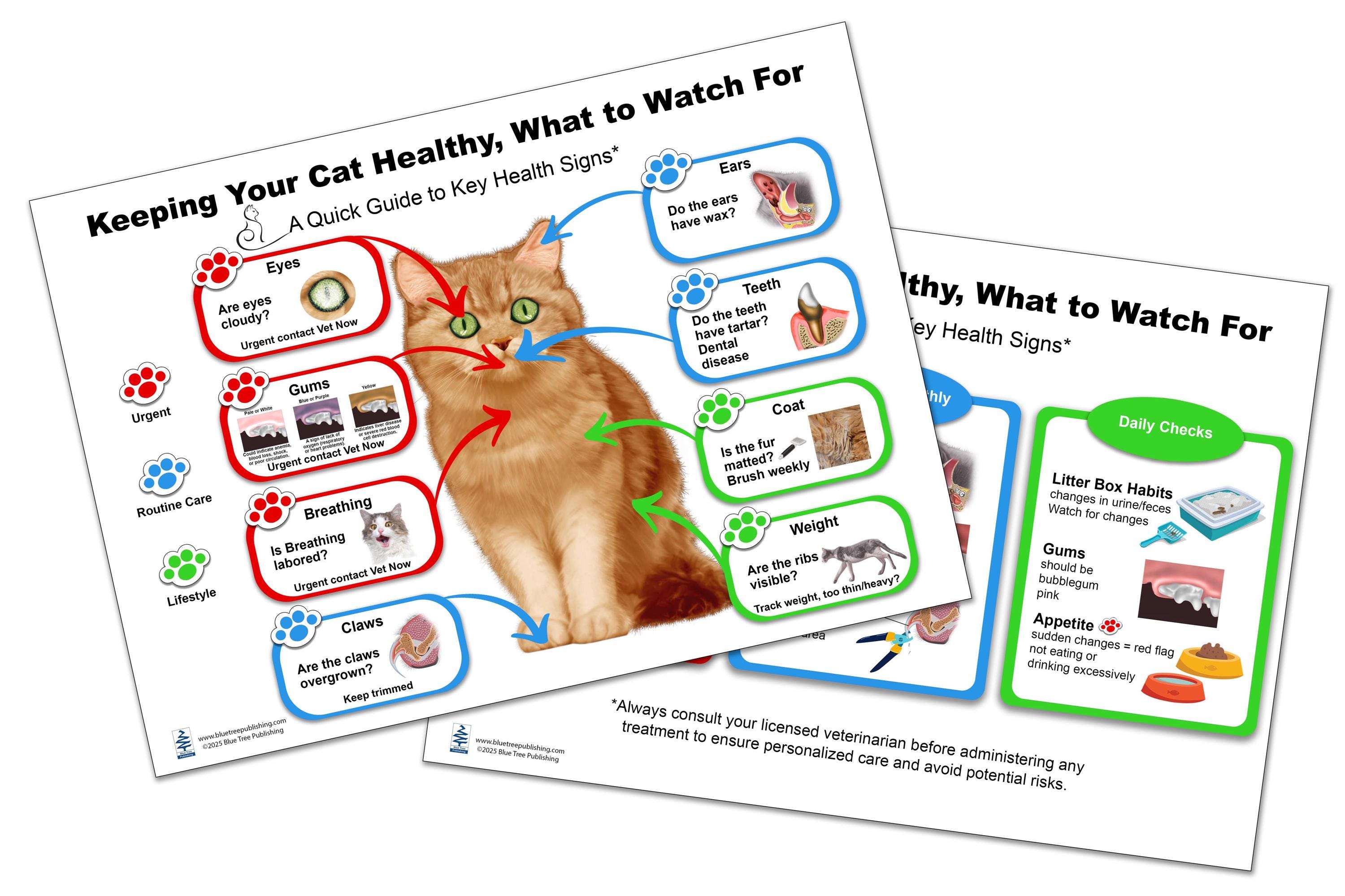 Keeping Your Cat Healthy Chart for Veterinary Reference, Cat Anatomy ...