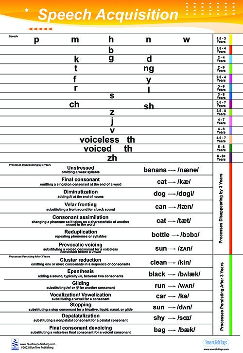 Speech Acquisition Chart, Speech Educational Chart, Processed by Age ...
