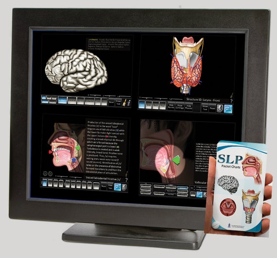 SLP Pocket Chart and Computer 12 App Software Set | Etsy