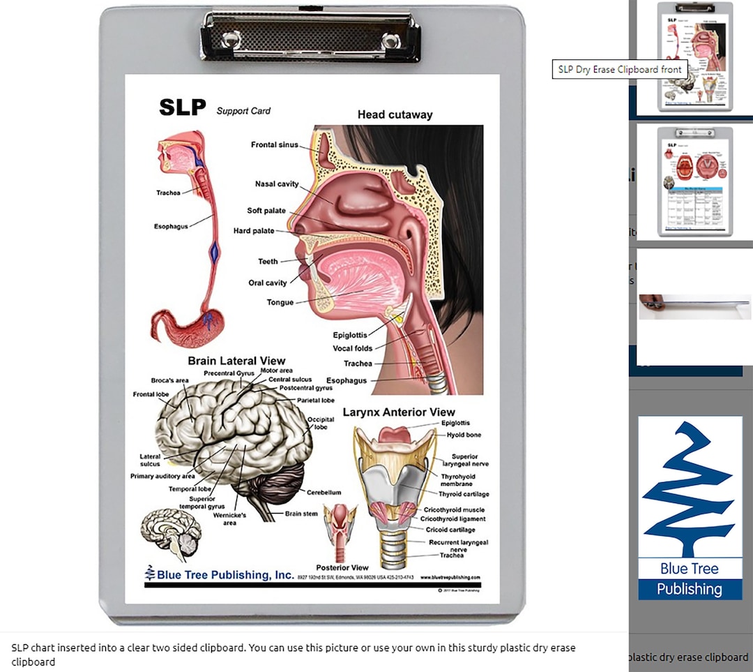 SLP Dry Erase Clipboard, Speech Language Pathology, Slp Gift, Slp ...