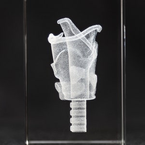 Larynx Crystal Art - Etsy