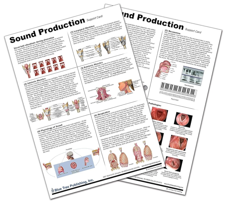 Sound Production Anatomical Chart for Voice and Singing Anatomy and ...