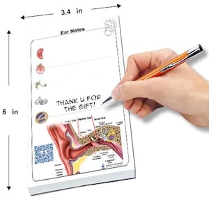 Ear Anatomy Note Pads 2 Pack With Magnet and QR Code to Link Hearing ...