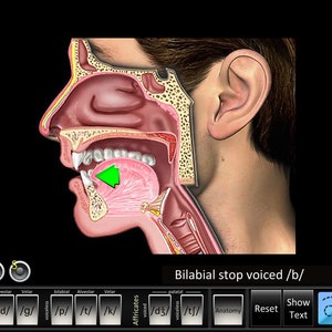 Speech Articulation Pocket Charts With 5 App Software Set - Etsy