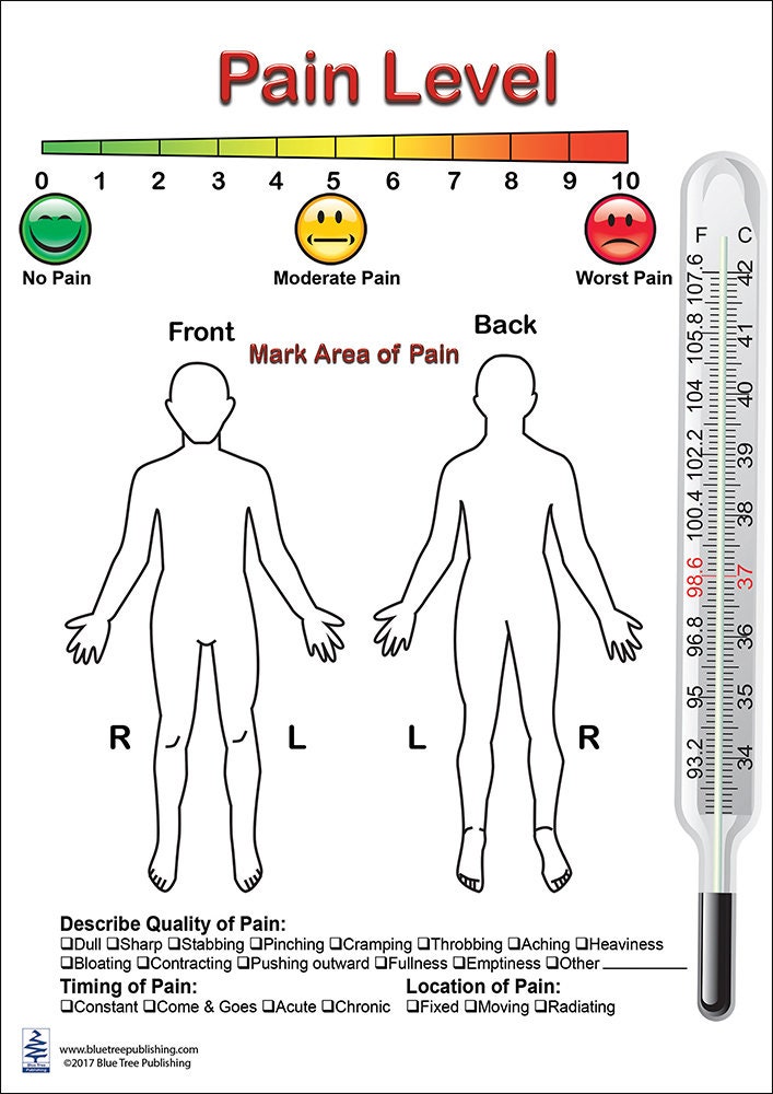 Pain Level Anatomical Chart - Etsy