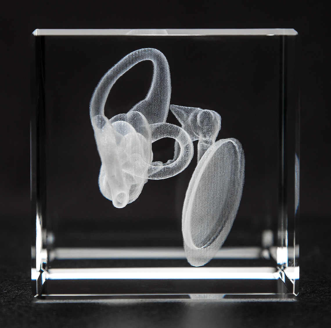 Ear Process Crystal Art | Etsy