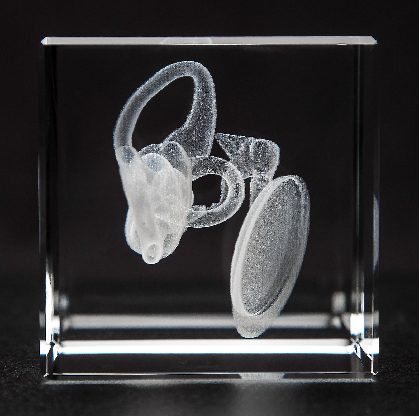 Ear Process Crystal Art | Etsy