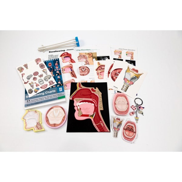 Speech Articulation Flip Charts for SLP, English Language Teachers for ...