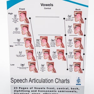 Speech Articulation Flip Charts for SLP, English Language Teachers for ...