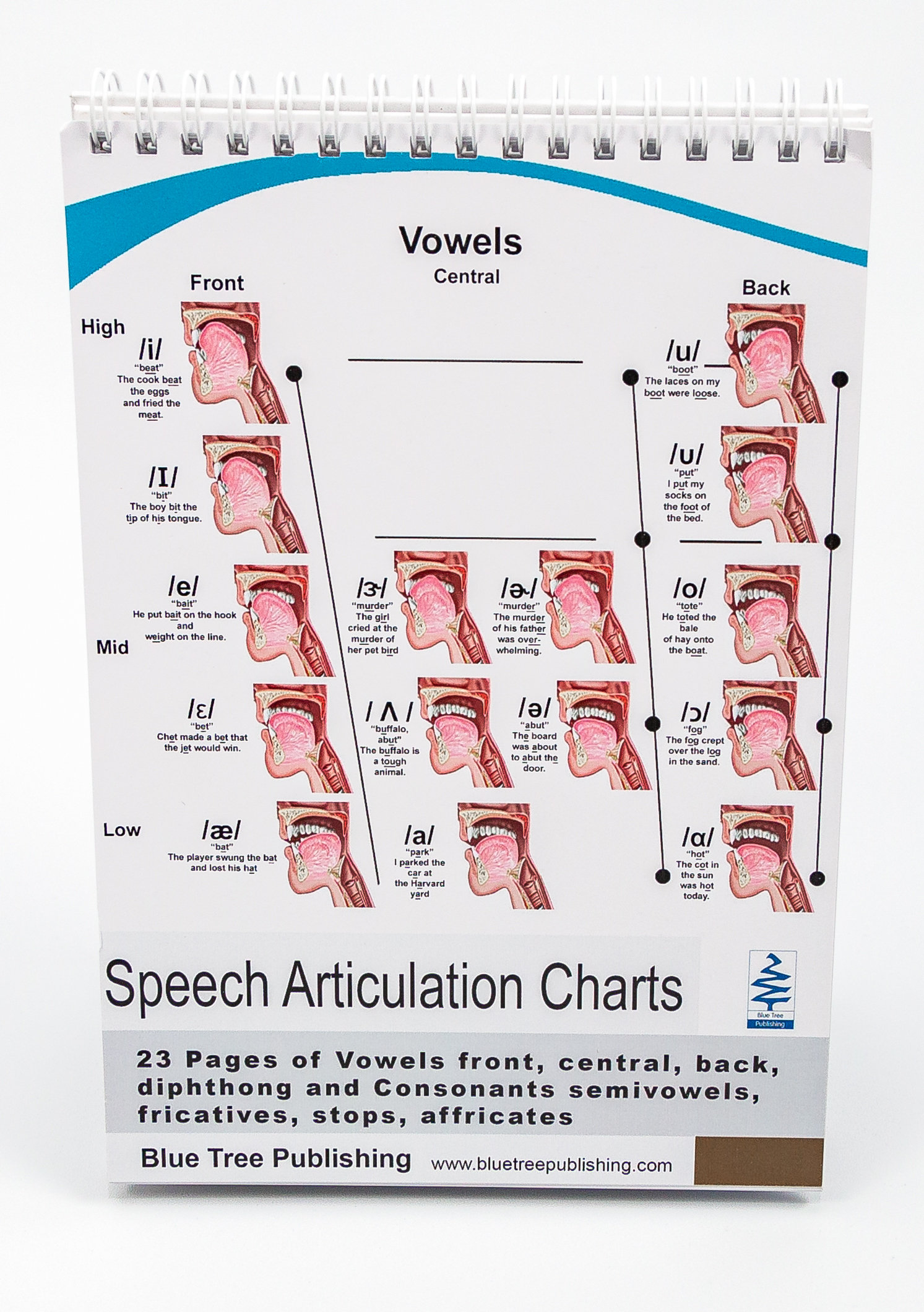Speech Articulation Flip Charts for SLP, English Language Teachers for ...
