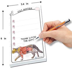 Cat Anatomy Set, Clipboard, Pocket Chart, Notepad, Anatomy & Veterinary ...
