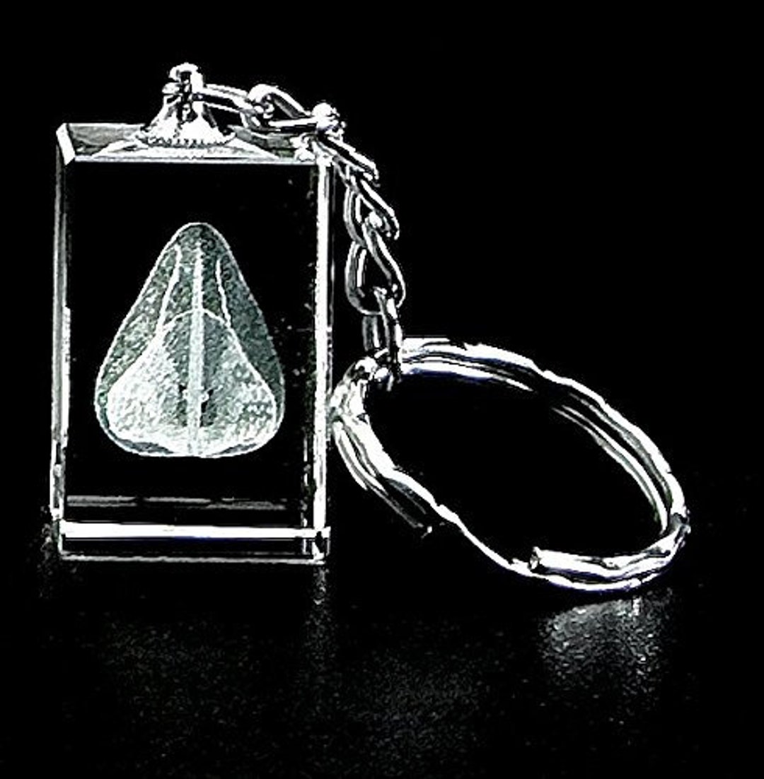 Nose 3D Laser Key Chain Crystal, Anatomy, Rhinology, Smelling, Nose ...