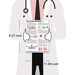 Sound Production Anatomical Chart for Voice and Singing Anatomy and ...