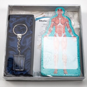 Muscles Gift Box Set 02 - Etsy