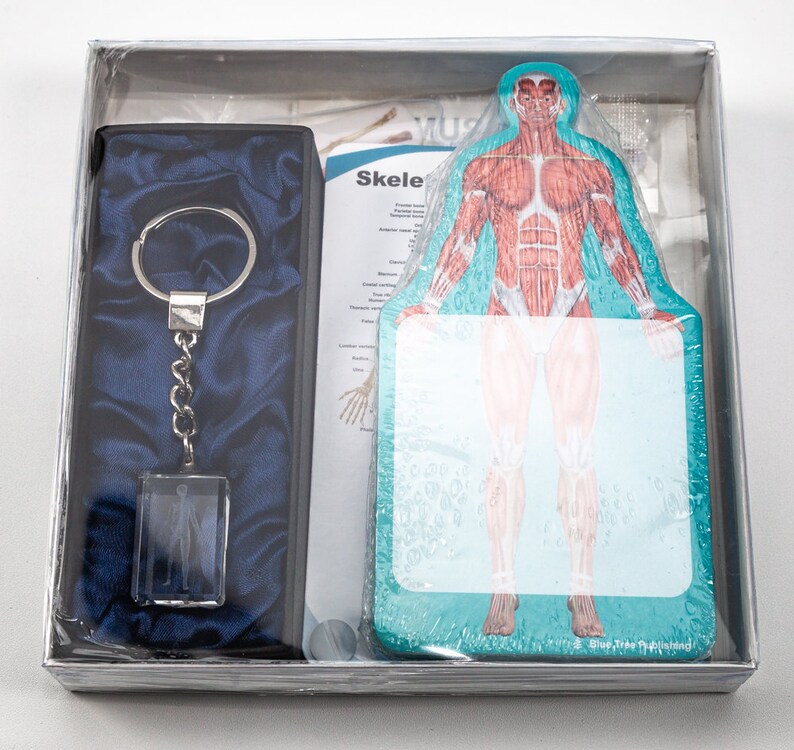 Muscles Gift Box Set 02 - Etsy