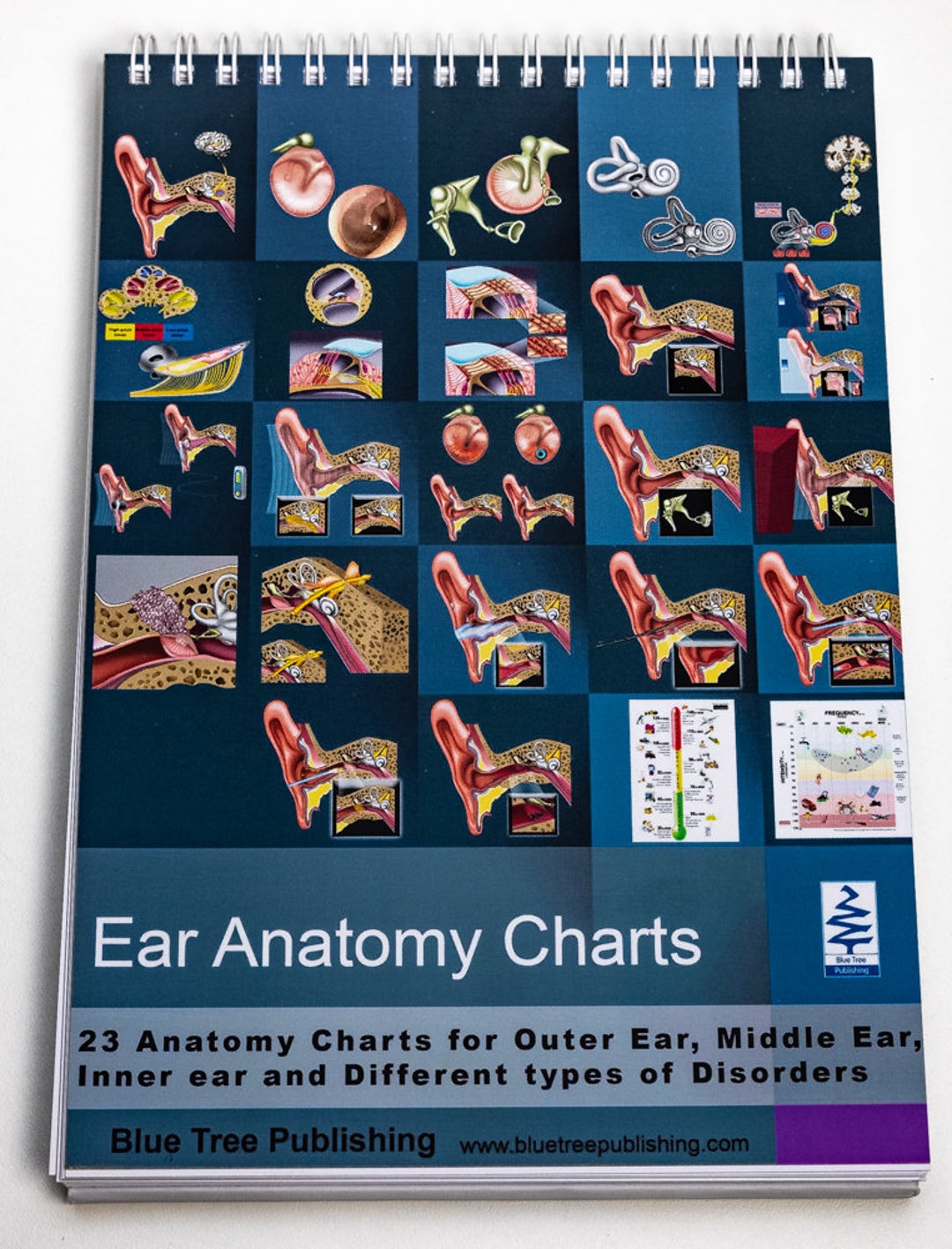 Ear Anatomy Flip Charts for Audiologist and Students of Audiology - Etsy