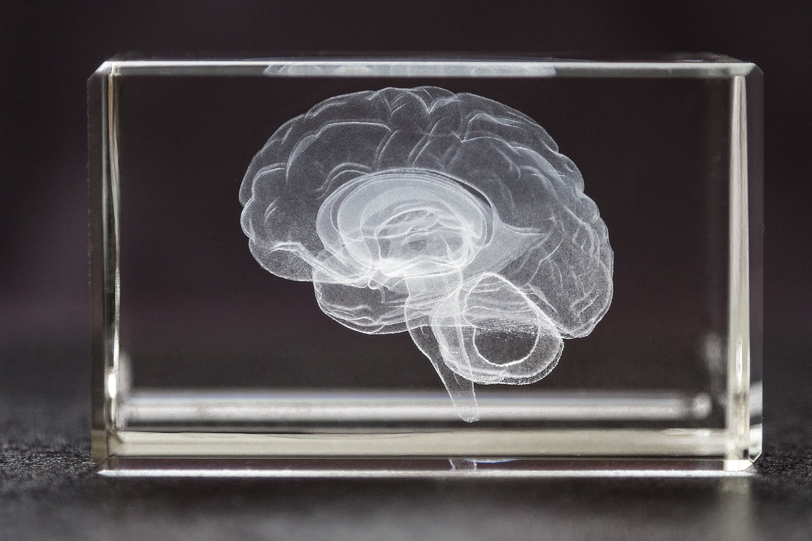 Human Brain Crystal for Neurologist - Etsy