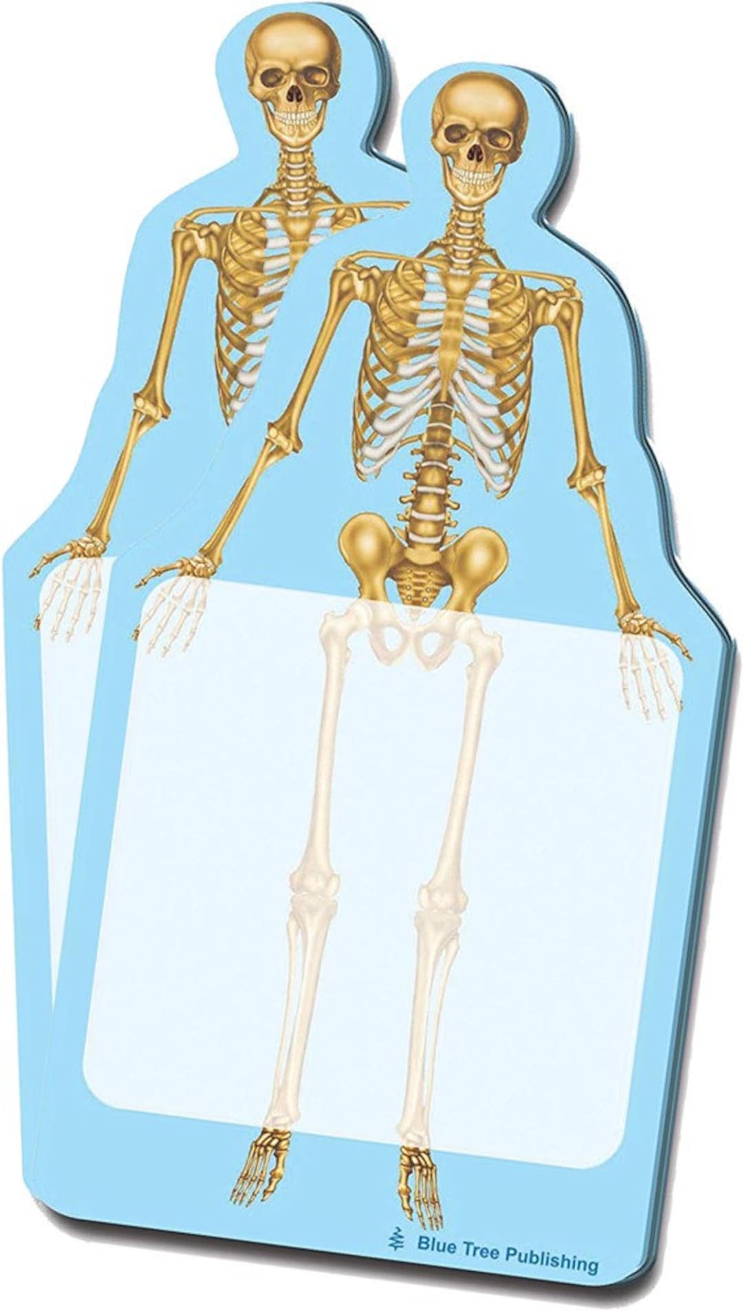 Skeleton Sticky Note - Etsy