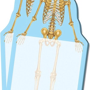 Skeleton Sticky Note - Etsy
