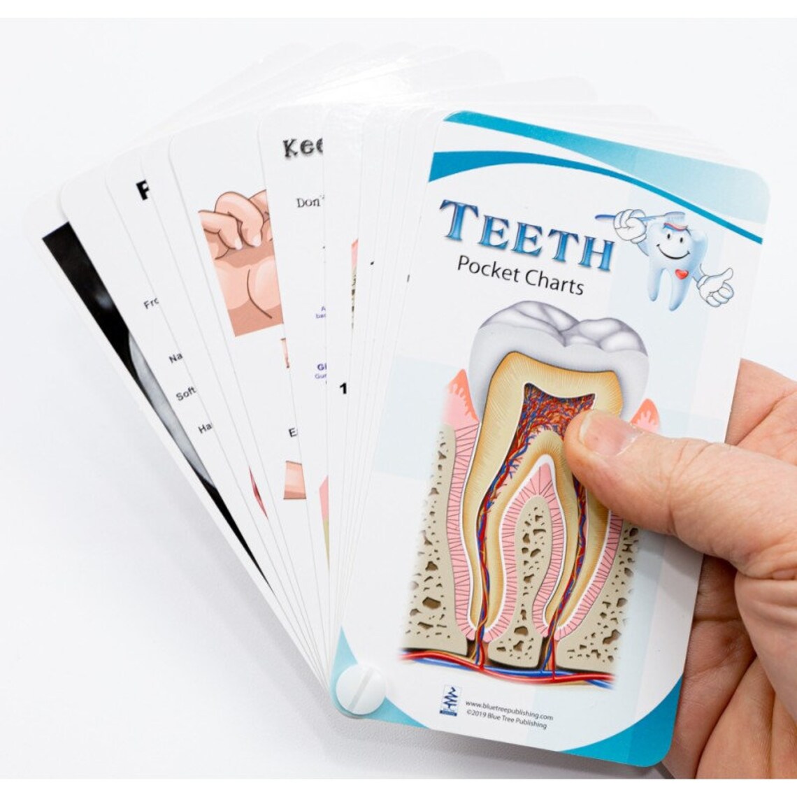 Teeth Pocket Chart for Dentist and Dental Hygienist - Etsy
